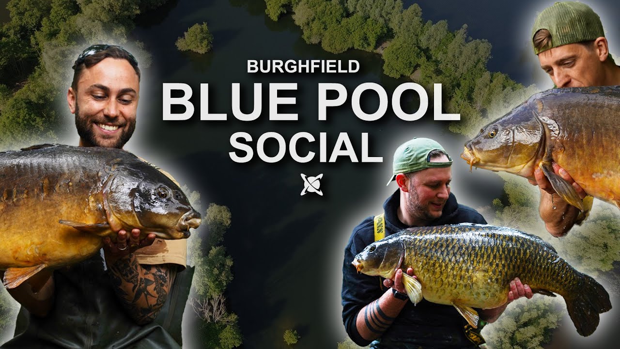The Famous Burghfield Fishing Complex - Blue Pool 48hrs – ClubCarp
